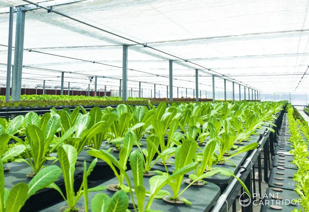 500 Global-backed agritech firm reaps $3m in seed money