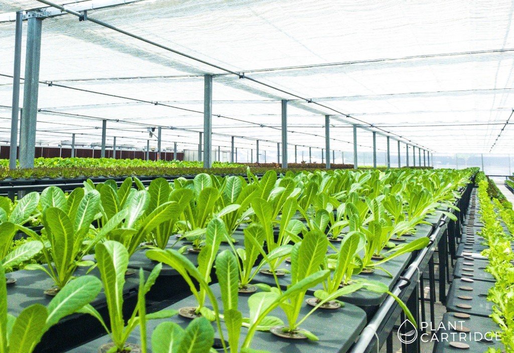 500 Global-backed agritech firm reaps $3m in seed money