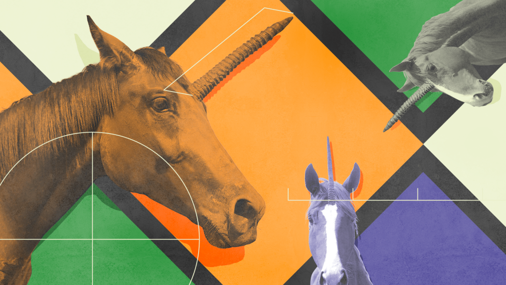 A list of India’s unicorns and their early investors