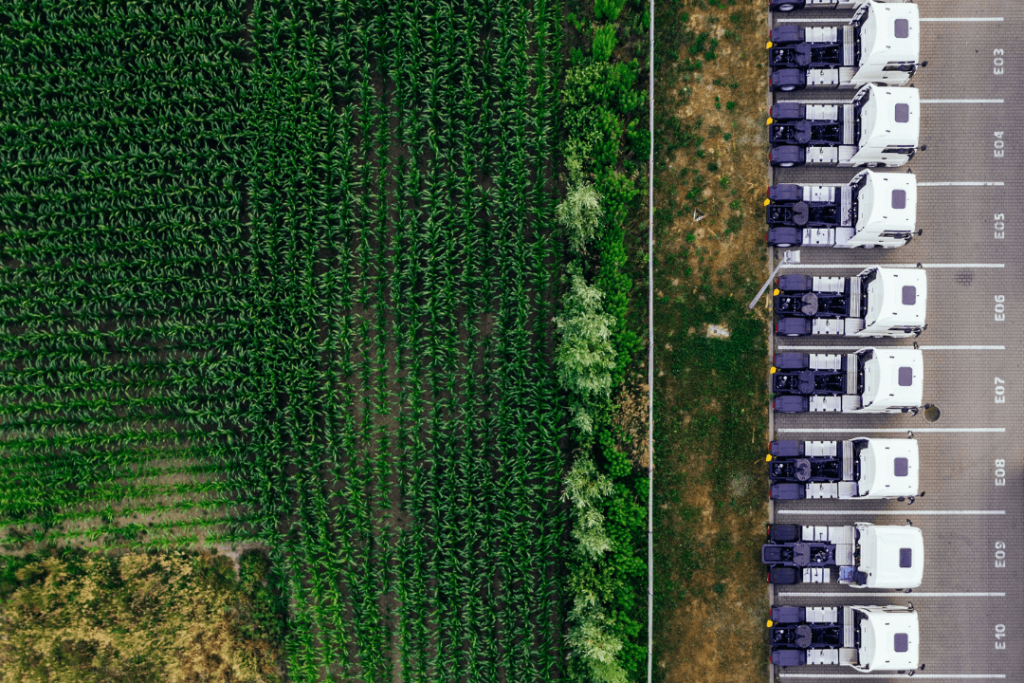 Insitor Partners leads Azaylla's pre-series A round