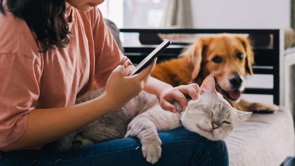 Singapore pet care startup ZumVet closes $3.7m series A Singapore pet care startup ZumVet closes $3.7m series A