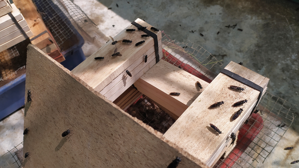 Recycling rivalry: Indian startups vs. garbage mafia