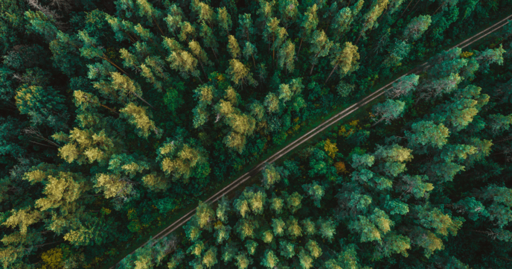 Openspace leads SG-based Thryve's $2.6m seed round