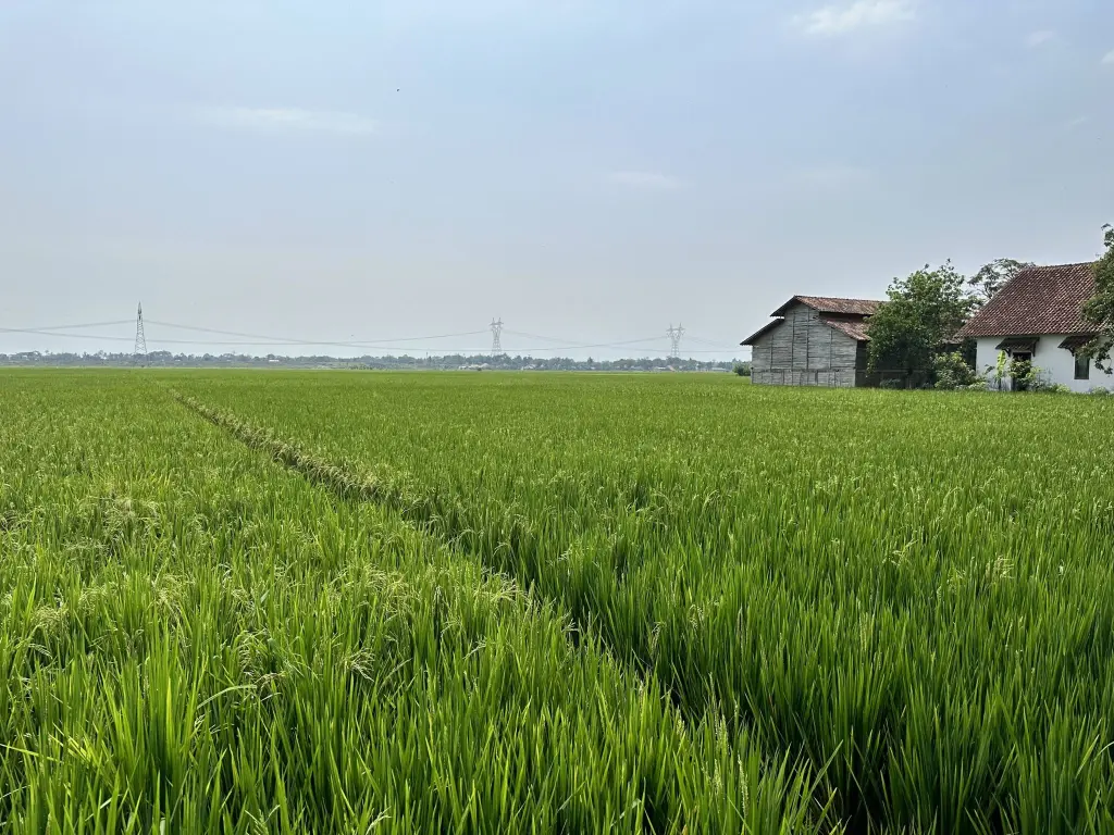 Temasek co-leads $14m round of SG agritech firm Rize