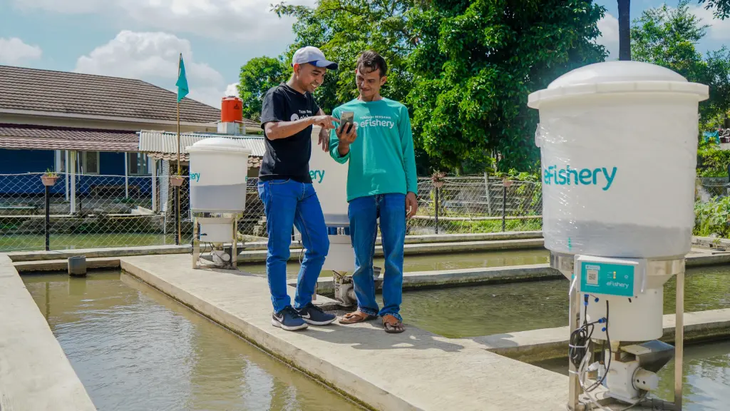 EFishery’s Indian rival makes a splash