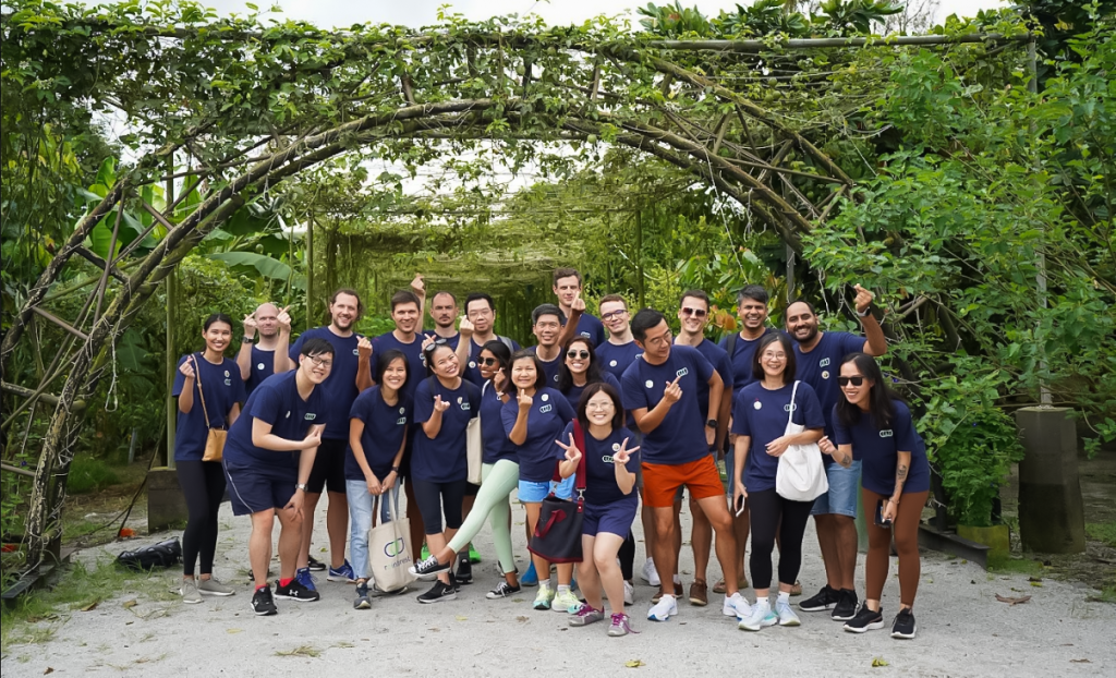 Rainforest reaches for the canopy with 46% revenue growth