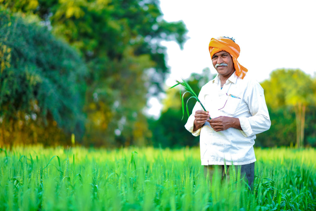 Indian agritech startup WayCool co-founder resigns Indian agritech startup WayCool co-founder resigns
