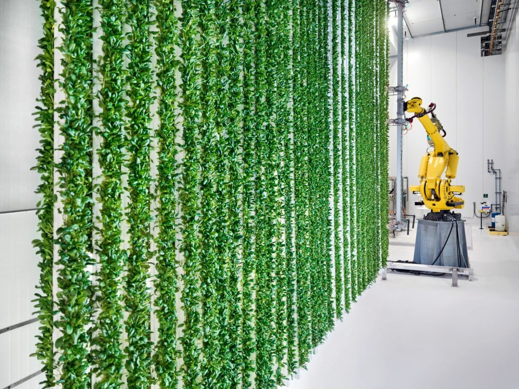 Bezos-backed vertical farming firm Plenty files for bankruptcy