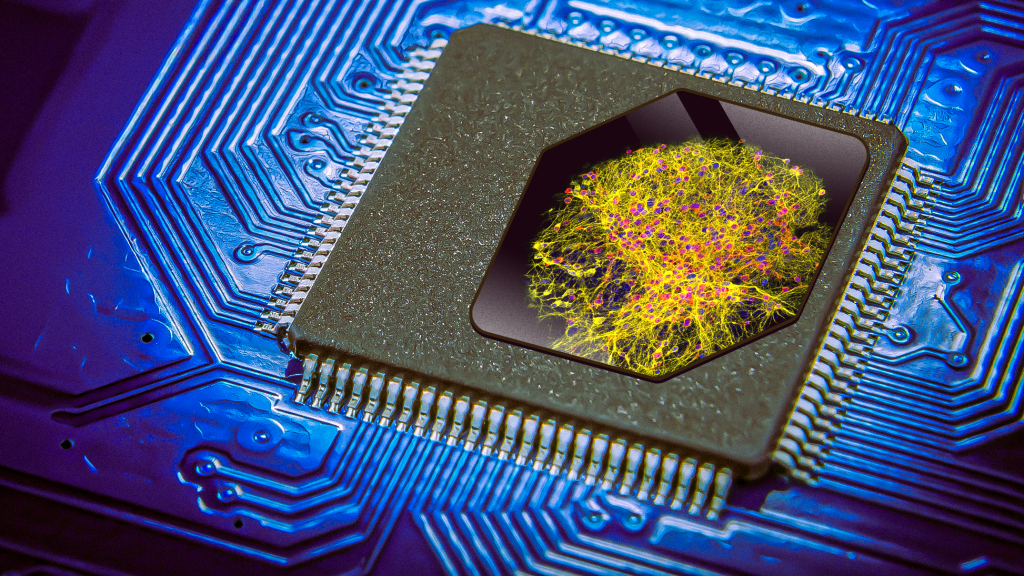 AI's future could be brain cells in a dish, not silicon chips