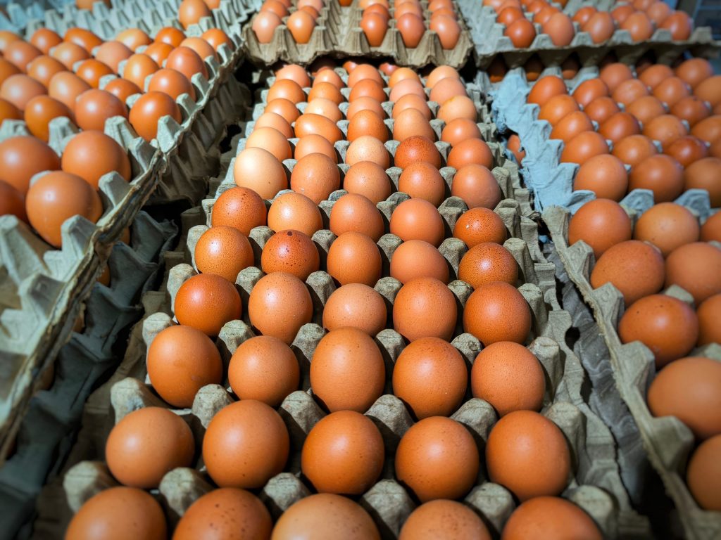 Indian egg producer firm Eggoz secures $20m series C