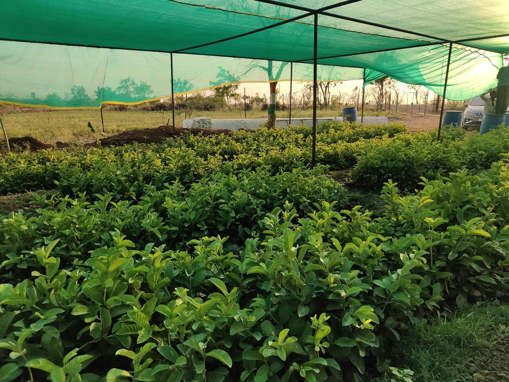 Peak XV joins $3m round for climate tech startup Equilibrium