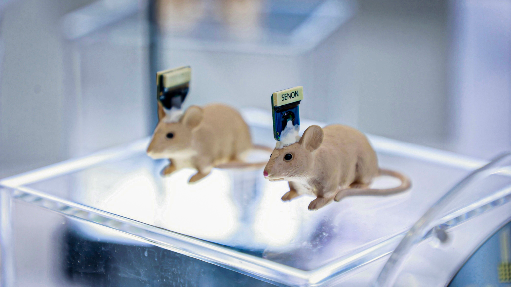 Meet Neuralink’s rivals in China