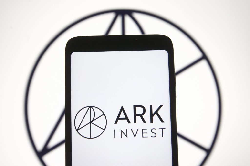 US investment firm Ark buys $15.6m BitMine shares as stock falls