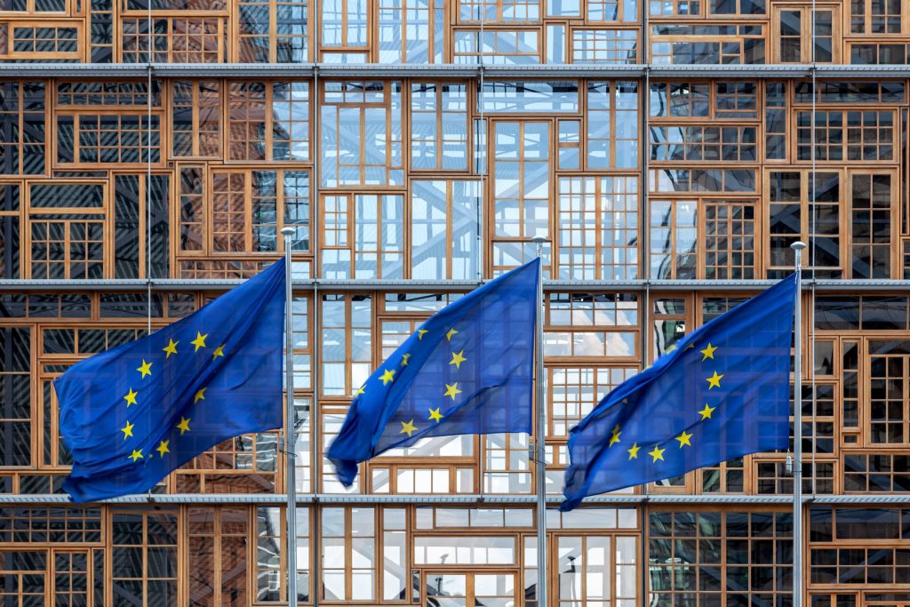 EU’s AI gigafactory plan draws 76 bids, tech chief says