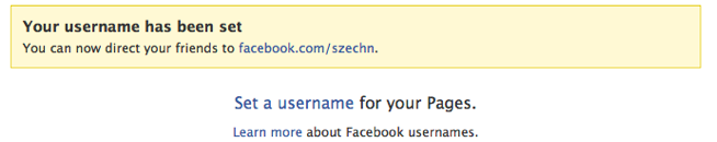 How To: Search Engine Optimize Your Facebook Fan Page