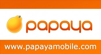 50 Million Strong: Shen Si, CEO and Co-founder of Papaya Mobile Speaks