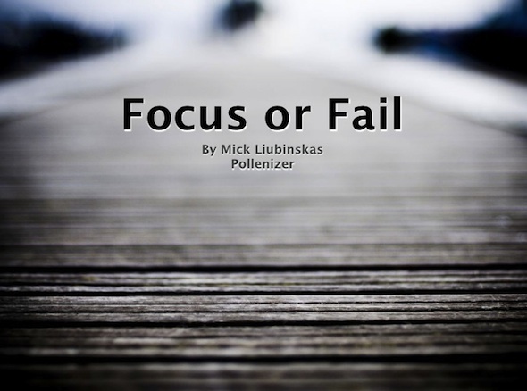 Focus or Fail: Kazaa Ex-CMO and Pollenizer Co-Founder Mick Liubinskas ...