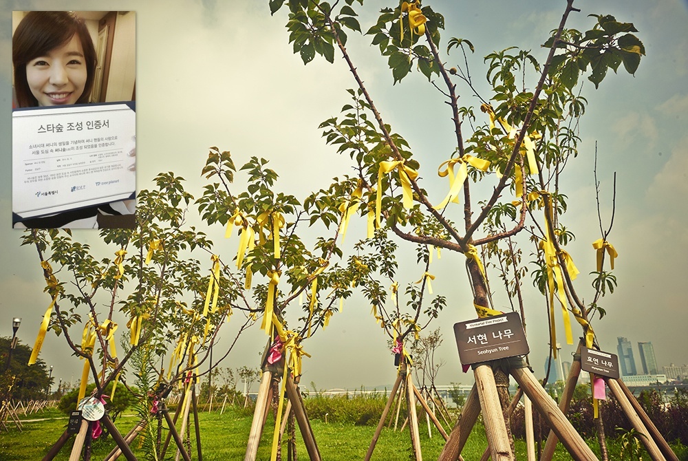 Korean startup plants forests with crowdfunding, mobile game