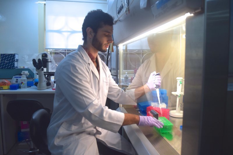 Neliti launches platform for Indonesia-related research