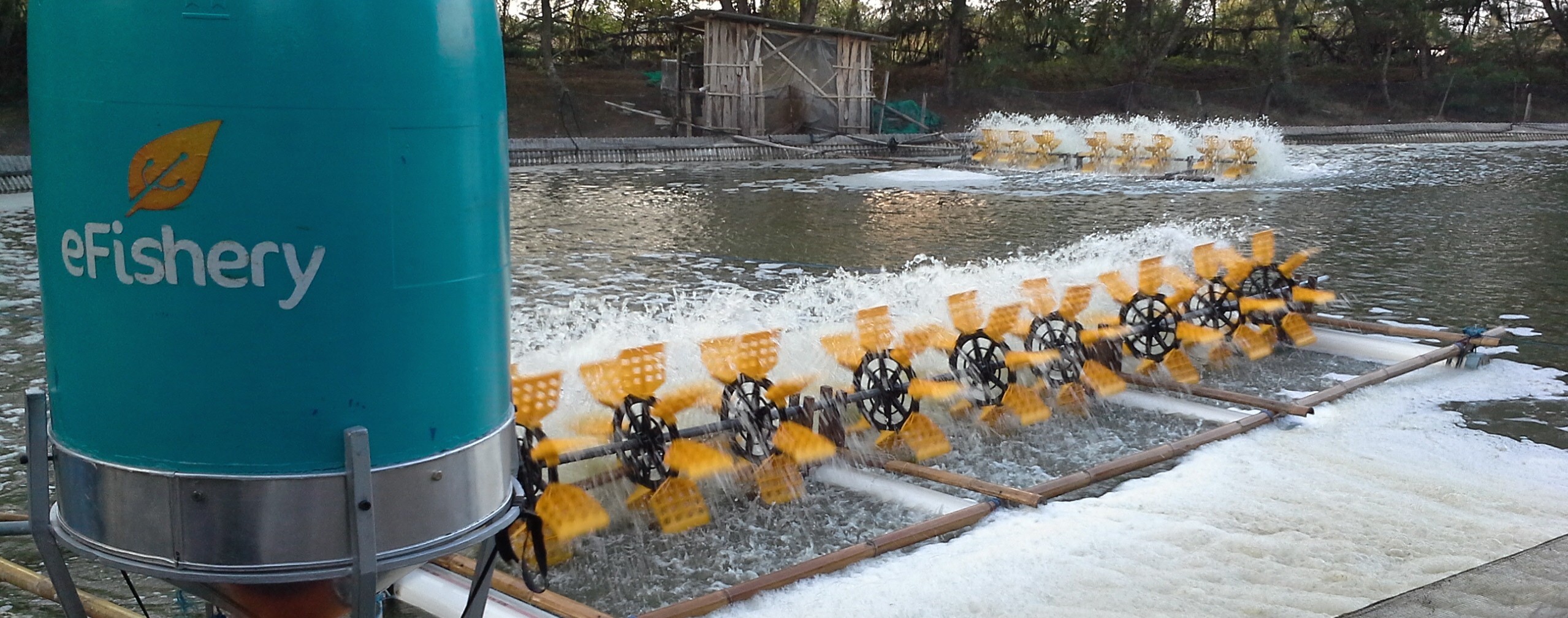 eFishery reels in funding from Aqua-Spark and Ideosource