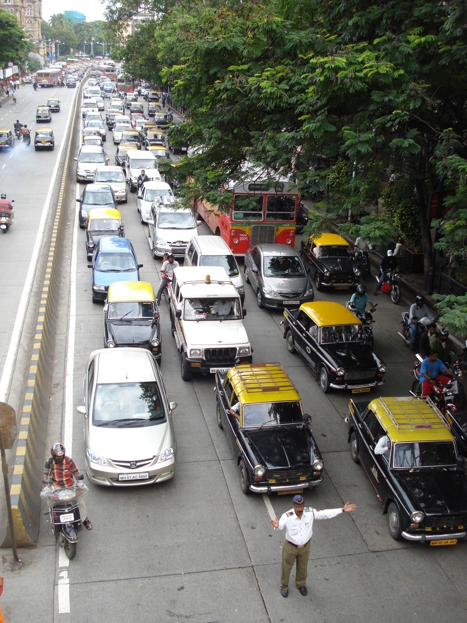 Cityflo, an Uber for buses, thrives in Mumbai's chaos