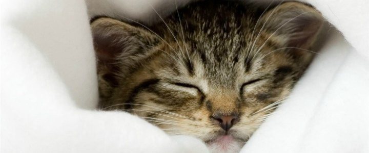 5 Israeli apps for your productivity and peace of mind