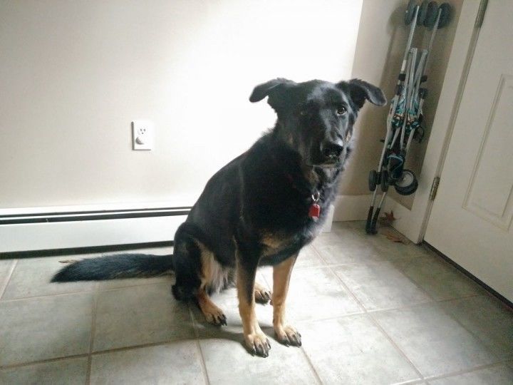 OnePlus X review: the best bang for your buck?