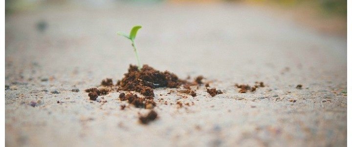 5 factors fueling Southeast Asia’s startup ecosystem 5 factors fueling Southeast Asia’s startup ecosystem