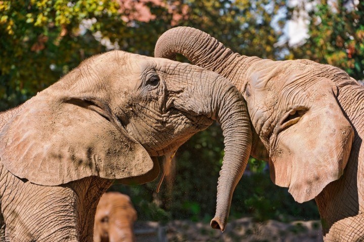 Southeast-Asia focused ecommerce sites Moxy and Bilna merged