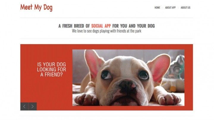 Osaka’s pitch contest has startups from seven countries