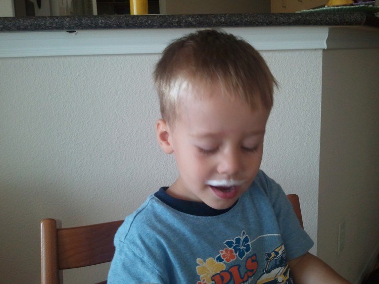 Cowlar promises to help farmers increase milk yields