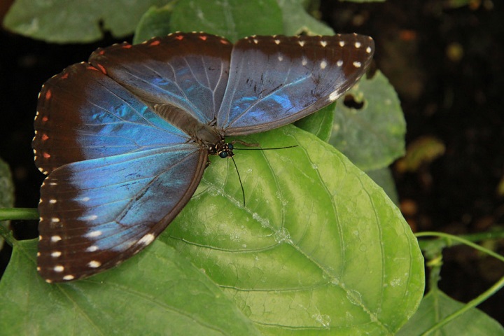 How IoT startup Flutura is competing with GE and winning