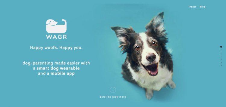 Wagr is a wearable for your dog
