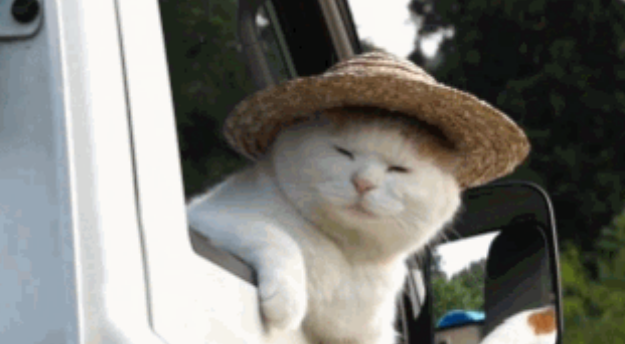 6 annoying things about being an entrepreneur