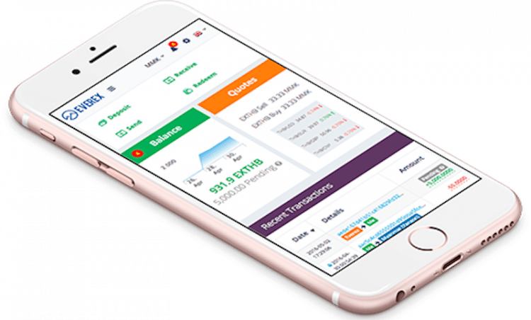 Everex gets seed funding from Holley Group, launches tokensale