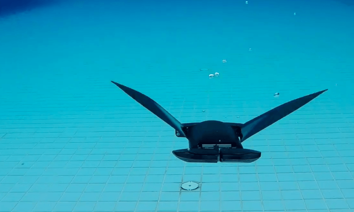 Video: Check out this robotic manta ray