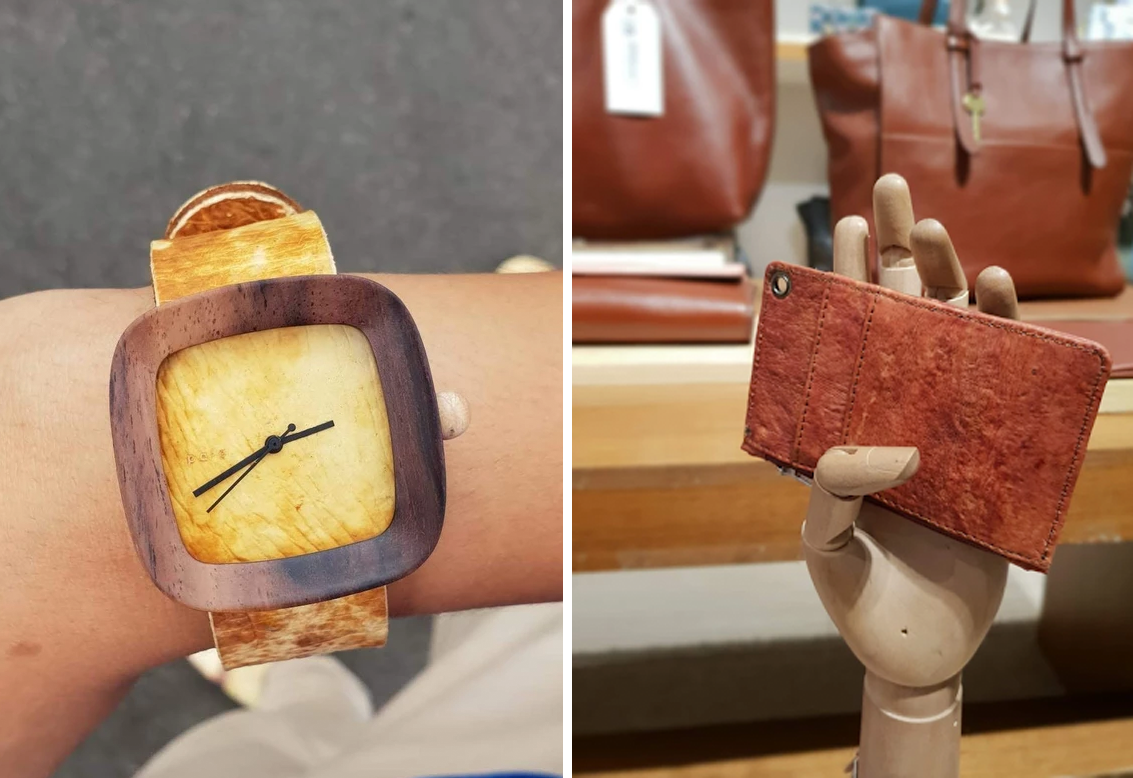 Mycotech nabs 6-figure seed funding