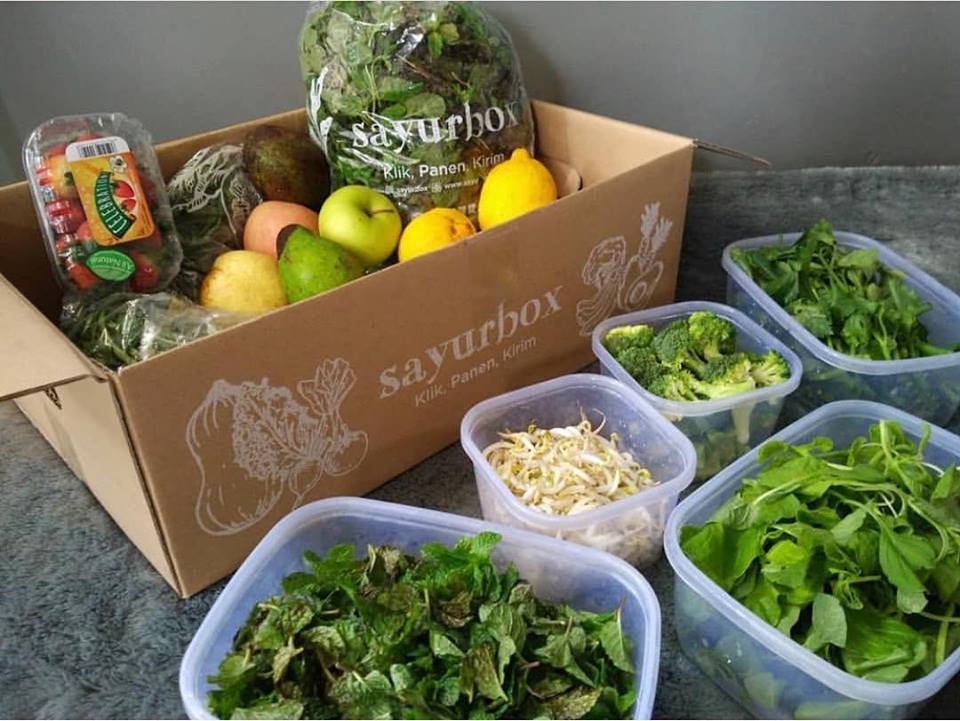 Tokopedia in talks to invest in agritech startup Sayurbox, source says