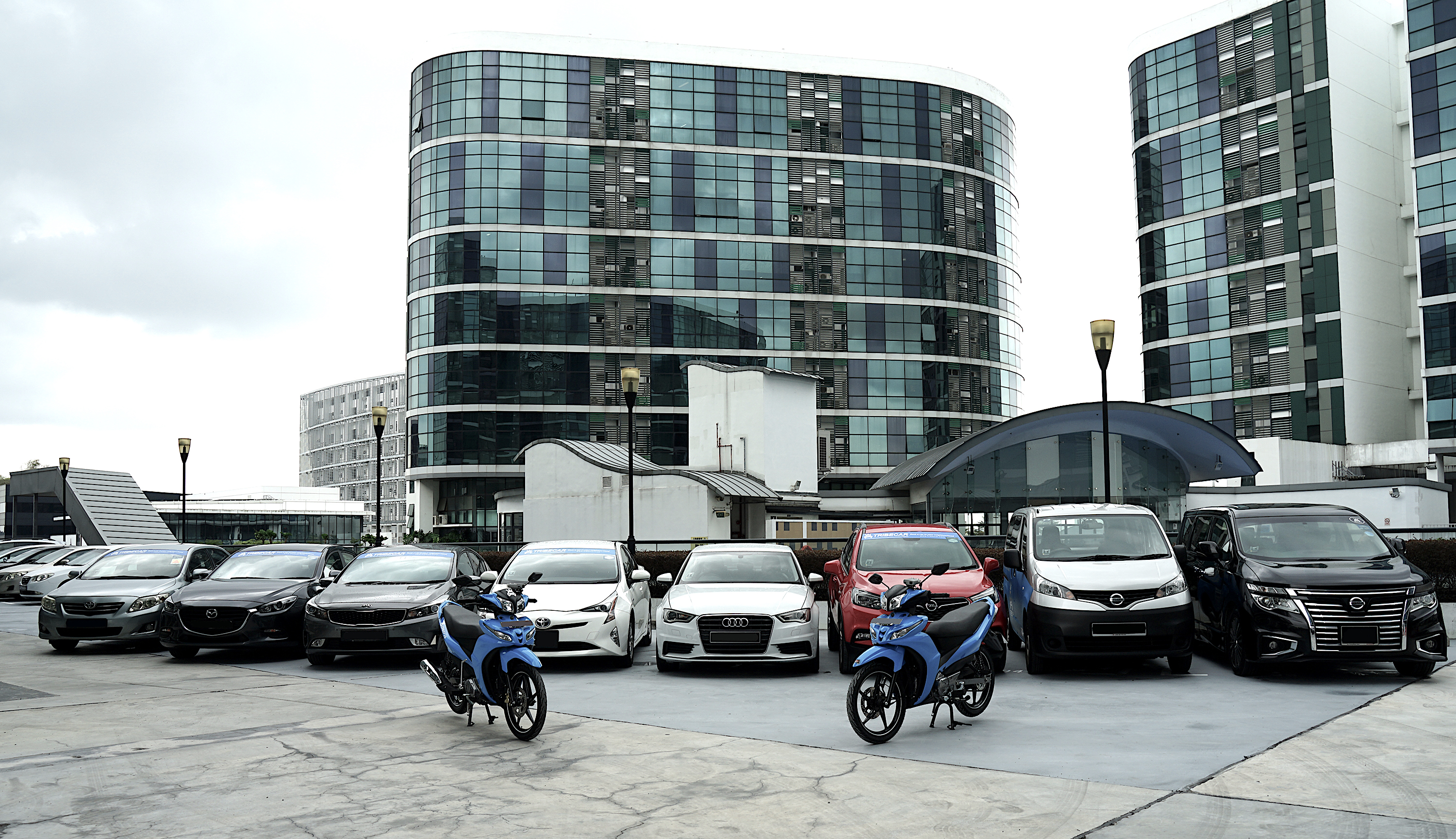 With zero funding raised, Tribecar is profitable and growing