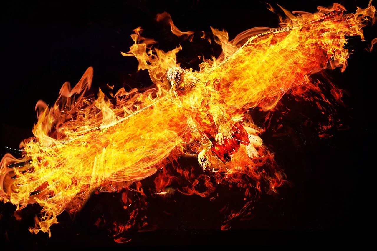Why more startups should aim to become phoenixes 🔥