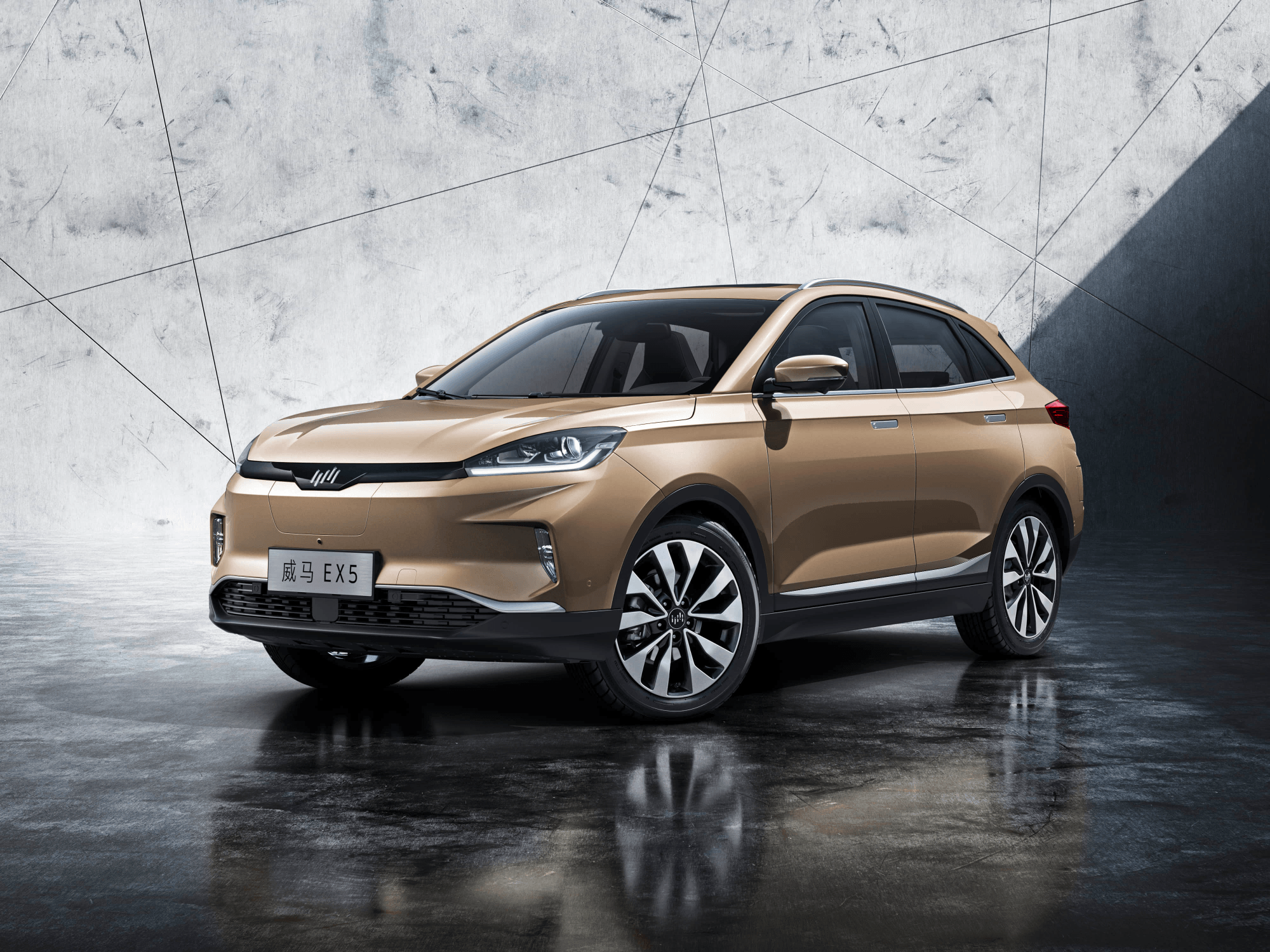 Chinese EV maker WM Motor banks $1.47b in series D money