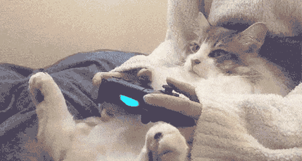 All eyes on Vietnam’s $370m ‘new retail’ group