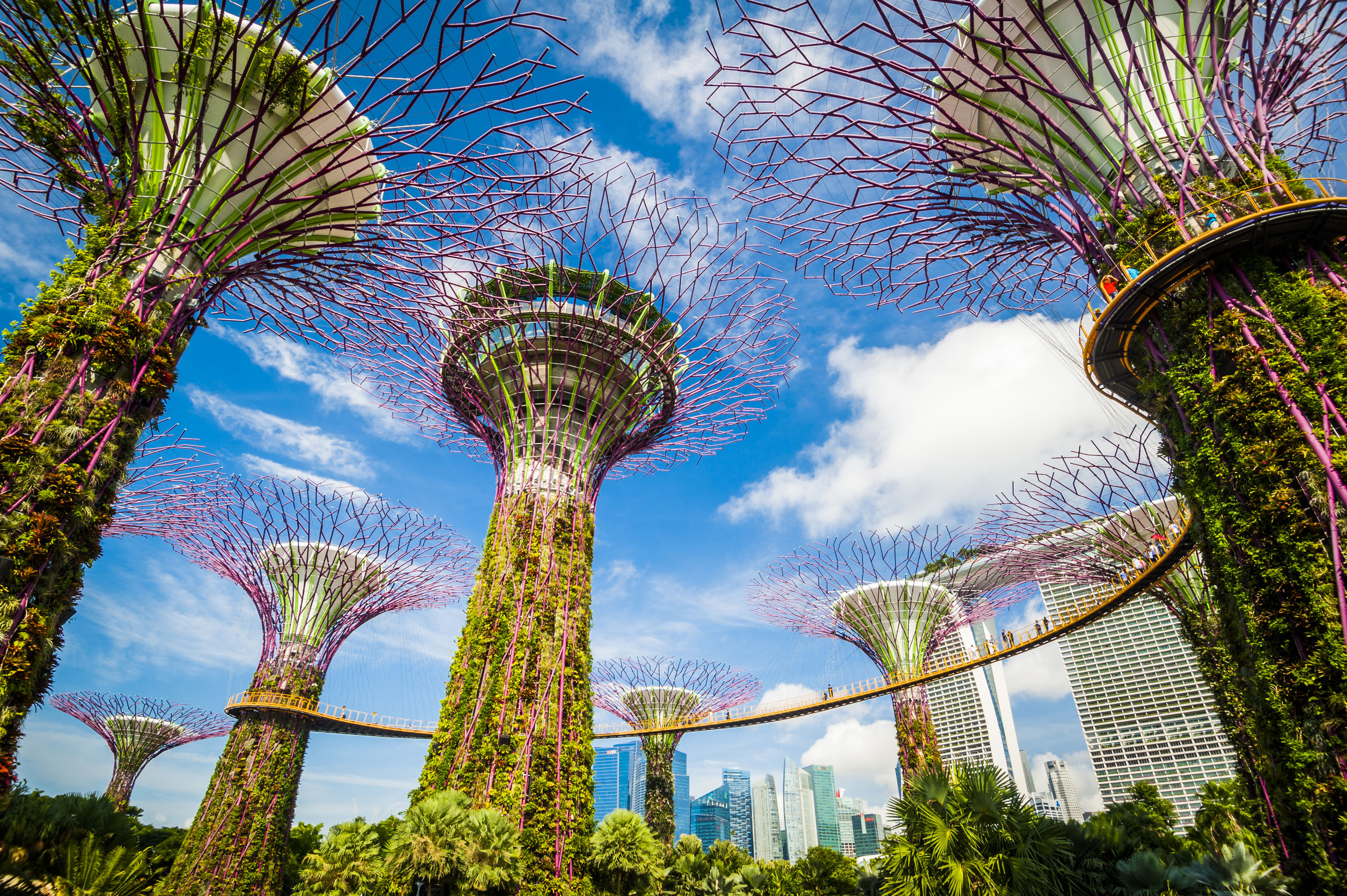 How businesses can become truly energy efficient