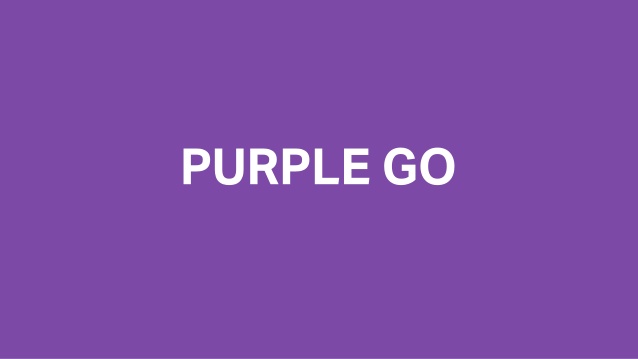 Sales automation startup Purple Go used this pitch deck to raise seed ...