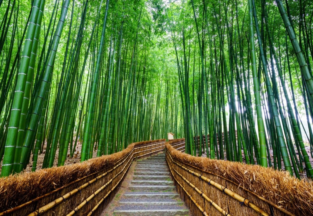 Letter to readers: Alibaba tends gardens. Tencent plants forests.