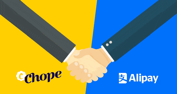 The internal conflicts behind a Vietnamese search engine