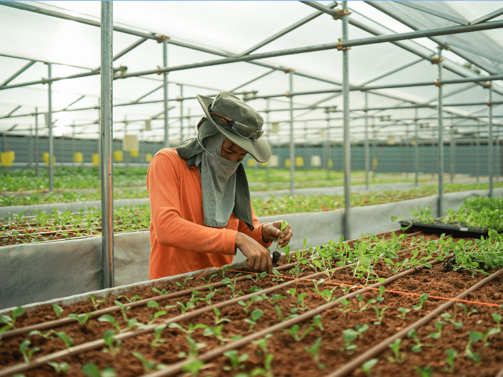 Singapore isn’t self-reliant for food. This innovative startup wants to ...