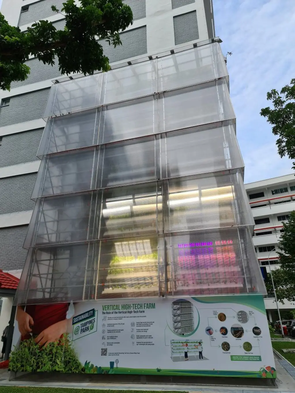 Singapore isn’t self-reliant for food. This innovative startup wants to ...