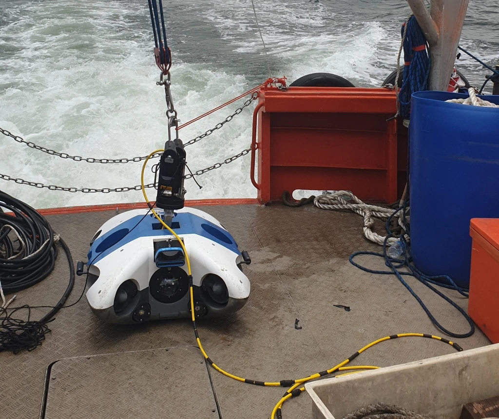 Singapore's BeeX nets 7-figure US dollar seed funding