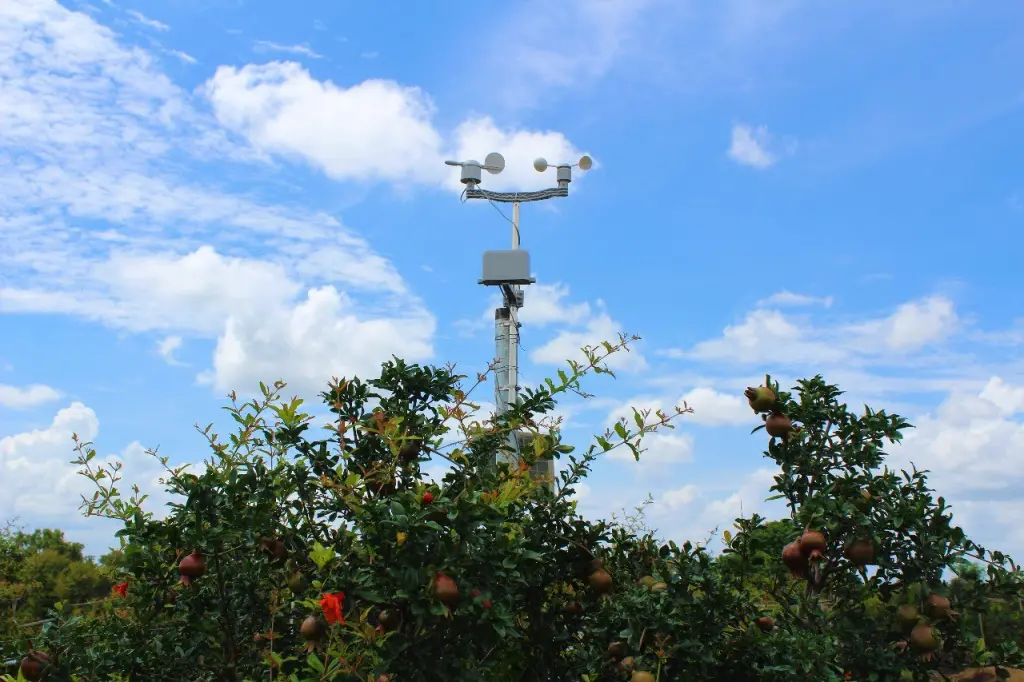 Wavemaker-backed agritech firm gets $4m pre-series A money